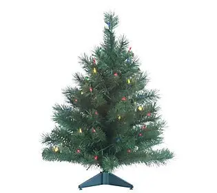 STERLING Set Of 2 2' Pre-lit Colorado Spruce Co - One-color