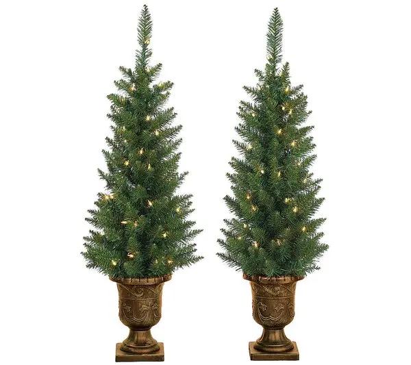 GERSON INTERNATIONAL 3.5' Potted Norway Pine With 50 Clear Lights Se T Of 2 - One-color