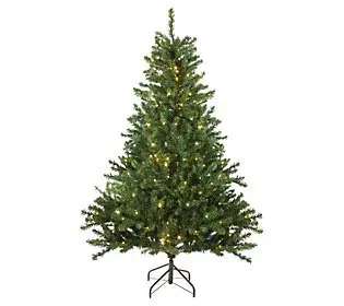 NORTHLIGHT 6' Pre-lit Led Canadian Pine Christm As Tree - One-color