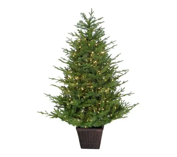 FRASER HILL FARM 5' Adirondack Prelit Potted Tr Ee W/ Lights - One-color