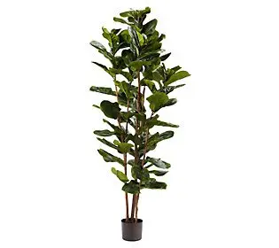 PURE GARDEN 72' Artificial Fiddle Leaf Fig Tree - One-color