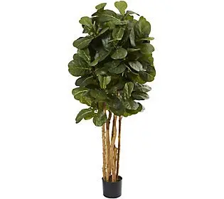 NEARLY NATURAL 5' Fiddle Leaf Fig Tree In Black Planter Nea Rly Natural - One-color