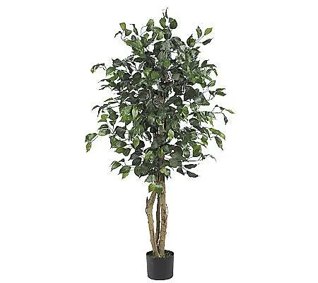NEARLY NATURAL 4' Ficus Tree By - One-color