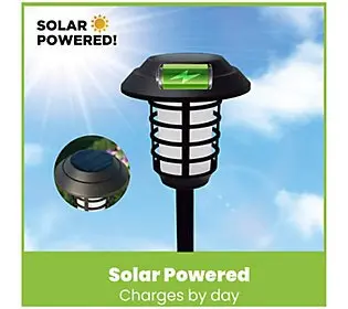 BELL & HOWELL Bell + Howell Solar Powered Pathway Lights With Remote Control