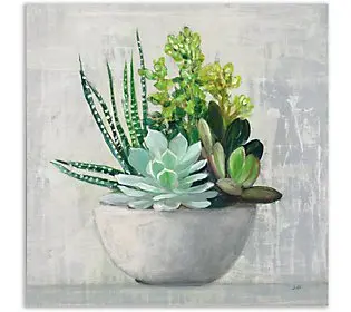COURTSIDE MARKET Succulent Still Life Ii 24x24 Canvas Wall Art - One-color
