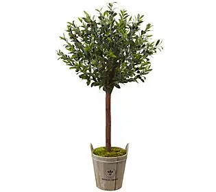 NEARLY NATURAL Olive Topiary Tree With Farmhouse Planter Ne Arly Natural - One-color