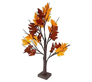 NORTHLIGHT 2' Pre-lit Led Brown Maple Tree- Cle Ar Ligh - One-color