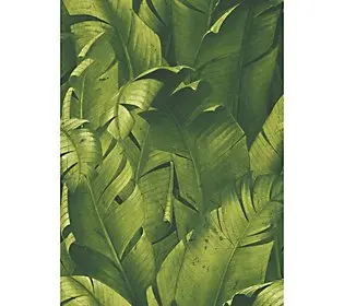 NEXTWALL Tropical Banana Leaves Peel And Stick Wallpaper Roll - One-color