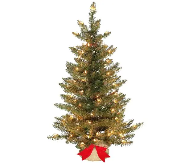 PULEO INTERNATIONAL 3' Prelit Slim Franklin Fir Christmas Tree - One-color