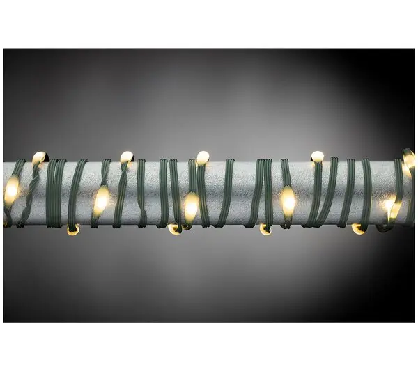 EVERLASTING GLOW 50-ft L Warm White Micro Led Green String Ev Erlasting Glow - One-color