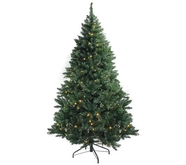 NORTHLIGHT 7.5' Full Buffalo Fir Tree-warm Whit Led Lights - One-color
