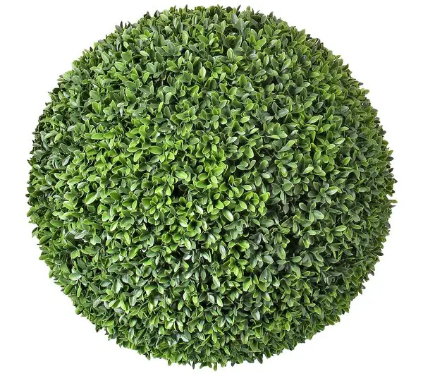 VALERIE PARR HILL American Boxwood Ball 20' Valerie - One-color