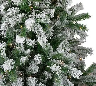 NORTHLIGHT 7.5' Flocked Fir Tree Ith Warm Clea R Lights