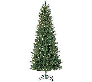 STERLING 7.5' Natural Cut Montgomery Pine W/ 550 Lights Y Co - One-color
