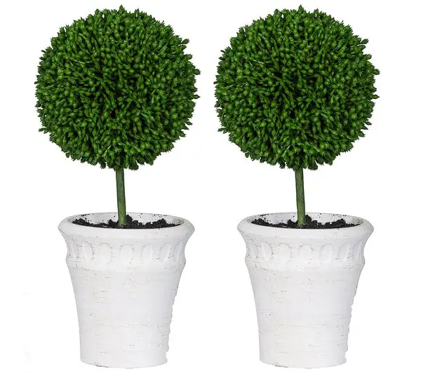 VALERIE PARR HILL Set Of 2 9.5' Topiaries In Ivory Pots Valeri E - One-color