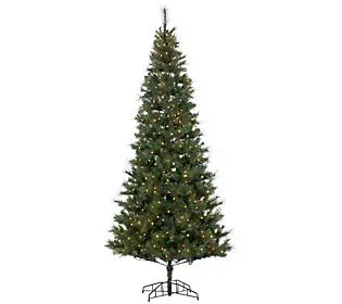 STERLING 9-ft H Pre-lit Hard/mixed Needle Baxter Pine Co - One-color