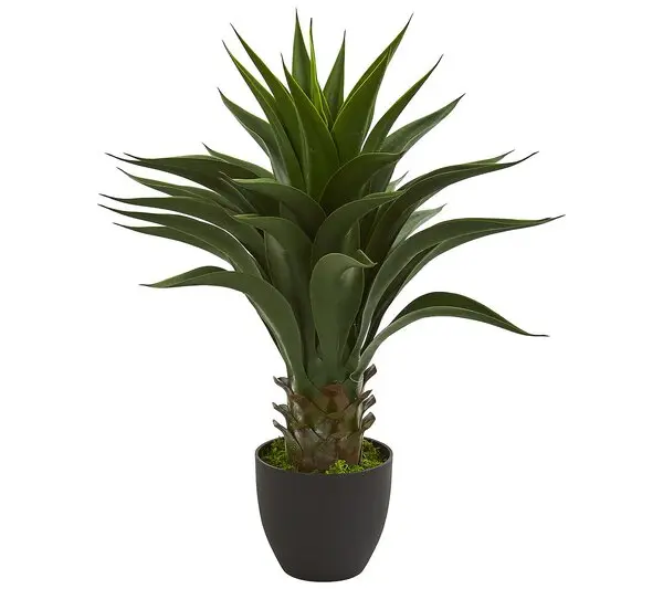 NEARLY NATURAL 28' Agave Artificial Plant By - One-color
