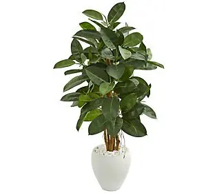 NEARLY NATURAL 53' Rubber Tree In White Planter Nearly Natu Ral - One-color