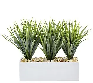 NEARLY NATURAL Vanilla Grass In Rectangular Planter Nearly Atural - One-color