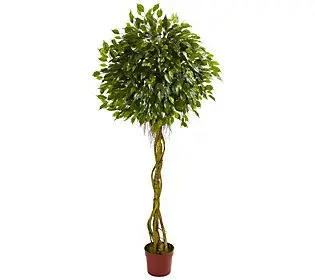 NEARLY NATURAL 6' Ficus Artificial Topiary Tree Nearly Natu Ral - One-color