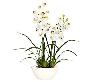 NEARLY NATURAL Cymbidium Vase Silk Flower Arrangement Nearl Y Natural - One-color