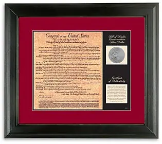 AMERICAN COIN TREASURES Birth Of A Nation Bill F Rights Frame - One-color