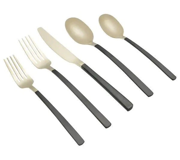 CAMBRIDGE SILVERSMITH S 20-piece Black Champagne Satin Flatware - One-color