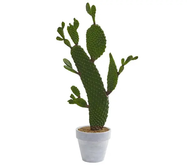 NEARLY NATURAL 27' Artificial Cactus Plant By - One-color