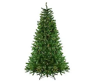 NORTHLIGHT Pre-lit Waterton Spruce Slim Christm As Tree - One-color