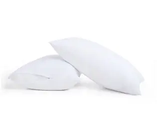 TRULY CALM Antimicrobial King Pillow Pair With Removable Cover