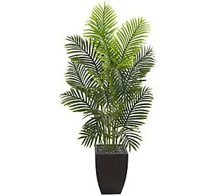NEARLY NATURAL 5.5' Paradise Palm Tree In Square Planter Ne Arly Natural - One-color