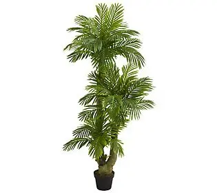 NEARLY NATURAL 5' Triple Phoenix Palm Artificial Tree Nearl Y Natural - One-color