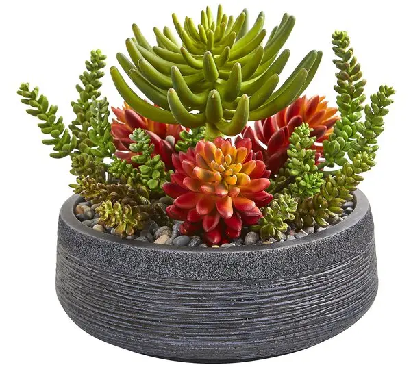 NEARLY NATURAL 12' Succulent Garden Plant/bowl By - One-color