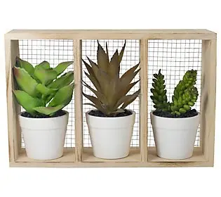 NORTHLIGHT 10.75' Artificial Potted Succulents N Wooden Box - One-color