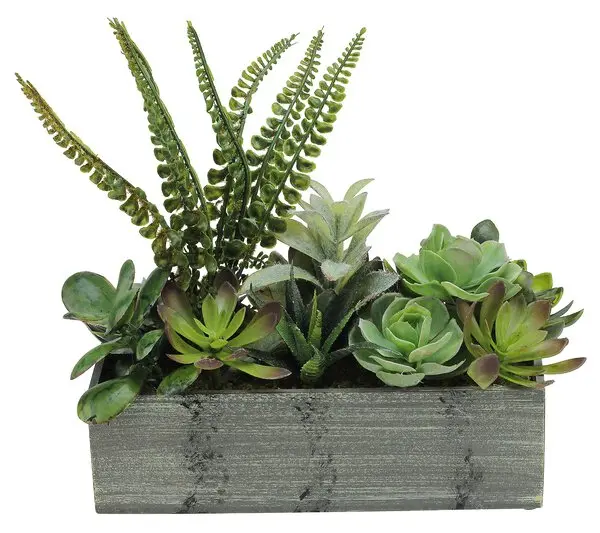 NORTHLIGHT 11.75' Artificial Succulent Plants I Planter - One-color