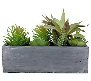 NORTHLIGHT 12' Artificial Succulent Plants In Lanter - One-color