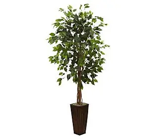 NEARLY NATURAL 5.5' Ficus Tree W/bamboo Planter Nearly Natu Ral - One-color