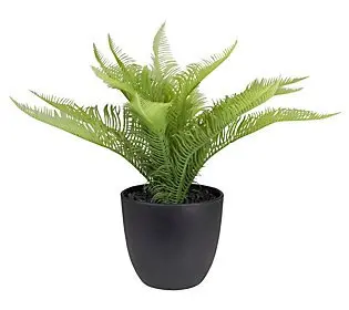 NORTHLIGHT 12' Potted Green Artificial Pinus Pl Nt - One-color