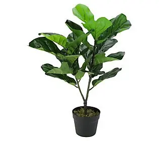 NORTHLIGHT 29' Artificial Fiddle Leaf Fig Potte Plant - One-color