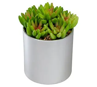 NORTHLIGHT 4.75' Potted Artificial Sedum Succul Nt