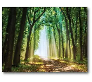 COURTSIDE MARKET Enchanted Forest 11x14 Canvas Wall Art - One-color