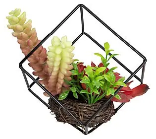 NORTHLIGHT 5.5' Artificial Succulent Arrangemen In Wire Frame