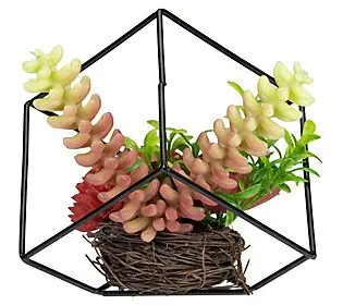 NORTHLIGHT 5.5' Artificial Succulent Arrangemen In Wire Frame