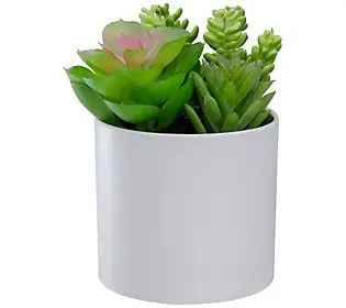 NORTHLIGHT 5.5' Artificial Succulent Arrangemen In Pot - One-color