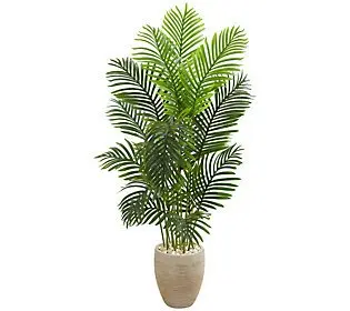 NEARLY NATURAL 5' Paradise Palm Tree In Planter Nearly Natu Ral - One-color