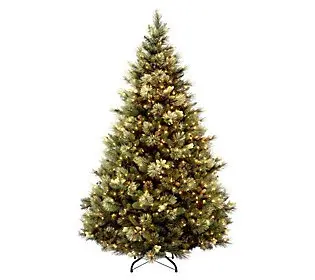 NATIONAL TREE COMPANY 6.5' Carolina Pine Tree With Clear Lights - One-color