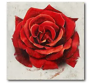 COURTSIDE MARKET Romantic Rose 16x16 Canvas Wal L Art - One-color