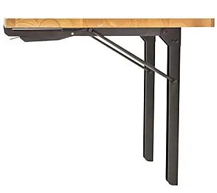 SPORTSMAN Series Wall-mounted Folding Workbench