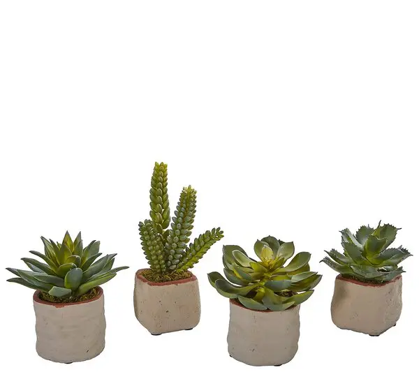 NEARLY NATURAL Mixed Succulent Lifelike Plant Nearly Natura L Set Of 4 - One-color