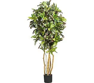NEARLY NATURAL 5' Croton Silk Tree By - One-color